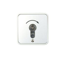S-APZ 1-1T/1 Key switch surface-mounted 1-sided push-button/latching